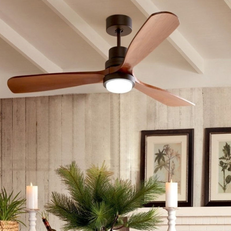 Masa Lighting - Premium Lighting Solutions for Home & Office